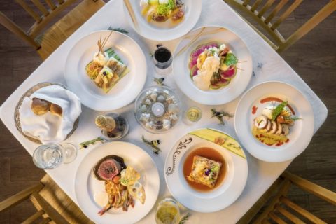 Caborey - Tours and Activities in Cabo San Lucas, Los Cabos, Baja ...